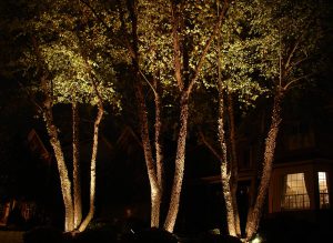 Showcase - P.M. Lighting, LLC